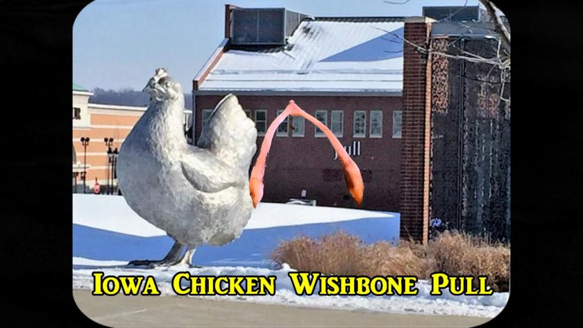 The Ultimate Chicken Wishbone Pull – Go Retire Psychiatrist