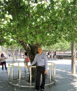 Survivor Callery Pear Tree – Go Retire Psychiatrist