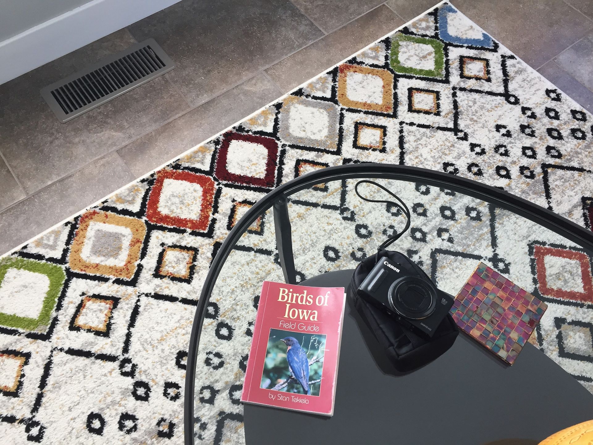 birds-of-iowa-field-guide-stan-tekiela – Go Retire Psychiatrist