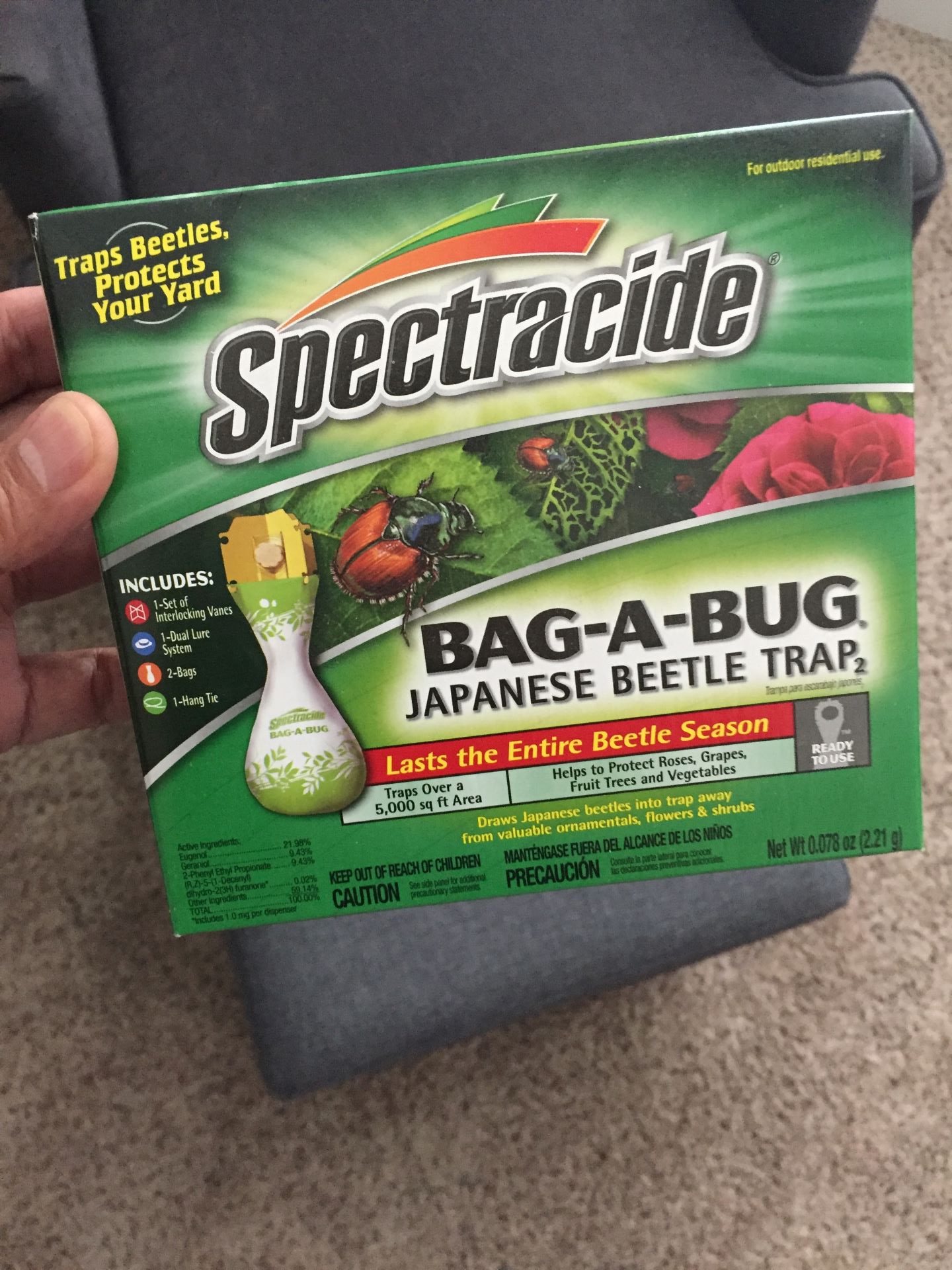 To Trap or Not to Trap Japanese Beetles – Go Retire Psychiatrist
