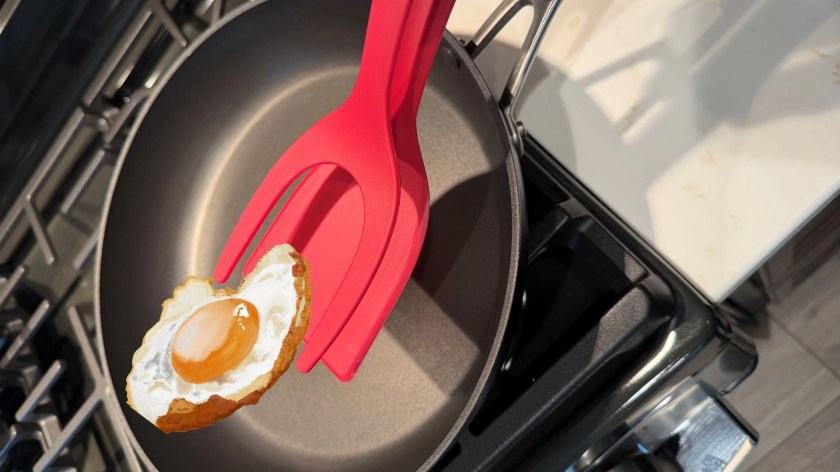 Learning to Use the Komati Basin Water Authority (KOBWA) Egg Flipper ...