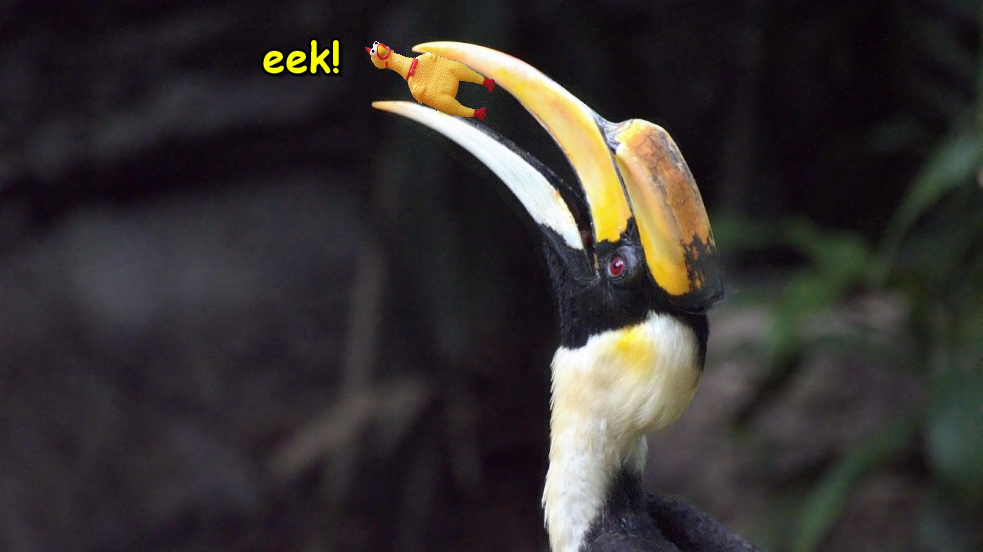 What’s Up with the Van Meter Iowa Visitor? – Go Retire Psychiatrist